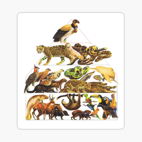 "Jungle Animals Pyramid" Sticker for Sale by arkitekta | Redbubble