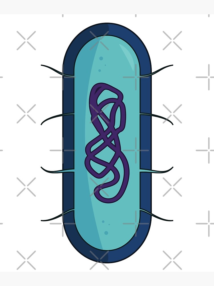 "Bacteria biology science drawing" Art Print for Sale by ...