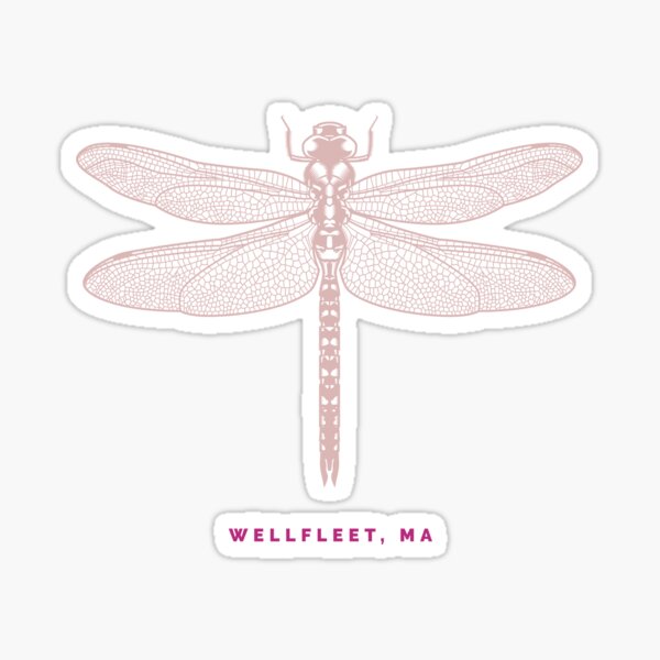 "Dragonfly, Wellfleet, MA " Sticker for Sale by SeekingPrimal | Redbubble