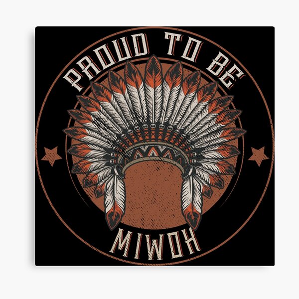 "Native American Tribe Indigenous People :Native American Proud to be ...