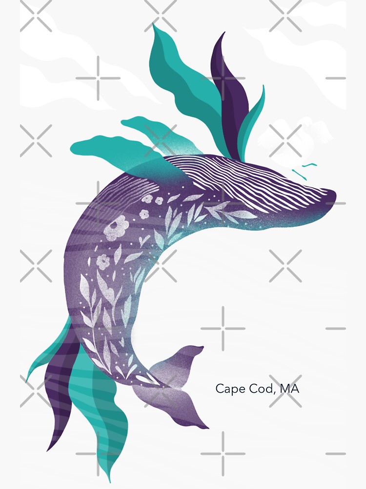 "Cape Cod Whale Breaching " Sticker for Sale by SeekingPrimal | Redbubble