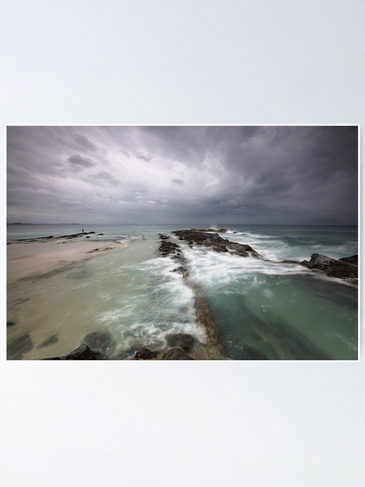 "Snapper" Poster for Sale by MelBrackstone | Redbubble