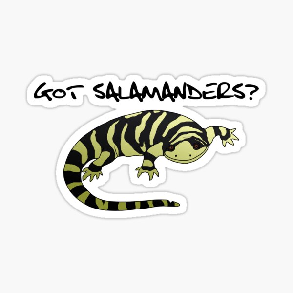 "Got Salamanders?" Sticker for Sale by PoonDoodle | Redbubble