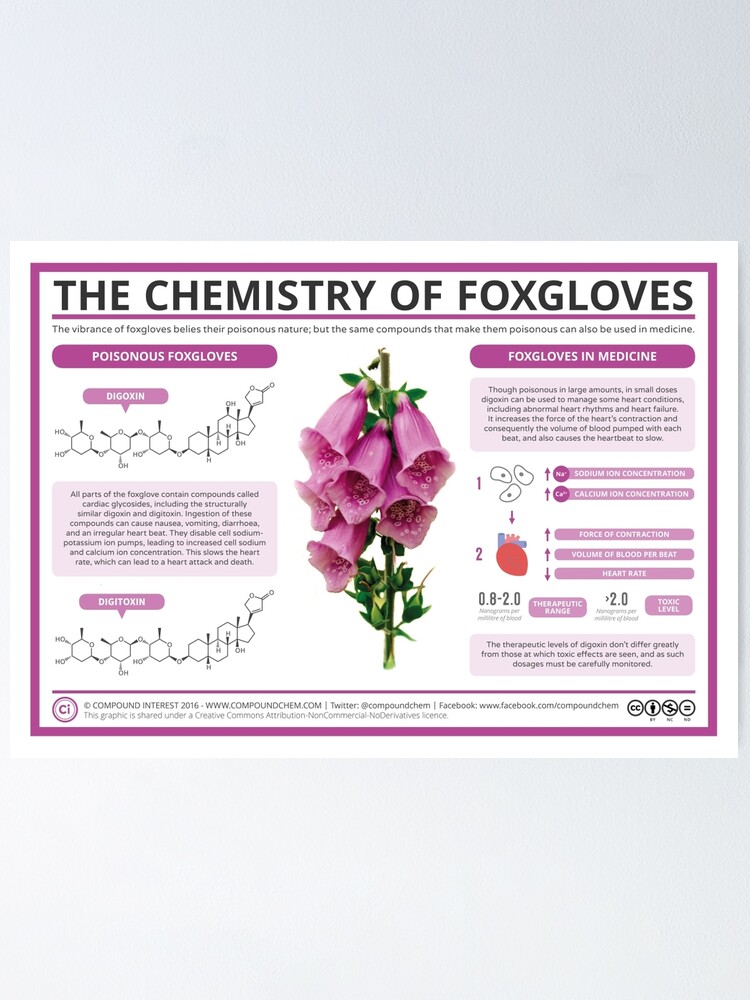 "The Chemistry of Foxgloves" Poster for Sale by compoundchem | Redbubble