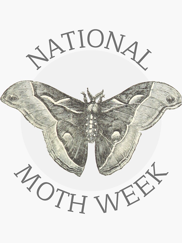 "National Moth Week" Sticker for Sale by artiwit | Redbubble