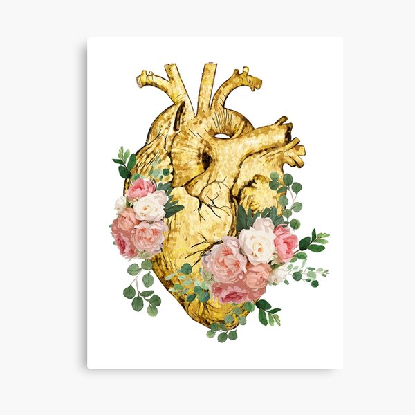 Lienzo «Corazón humano y rosas, arte de ilustración de anatomía, dibujo ...