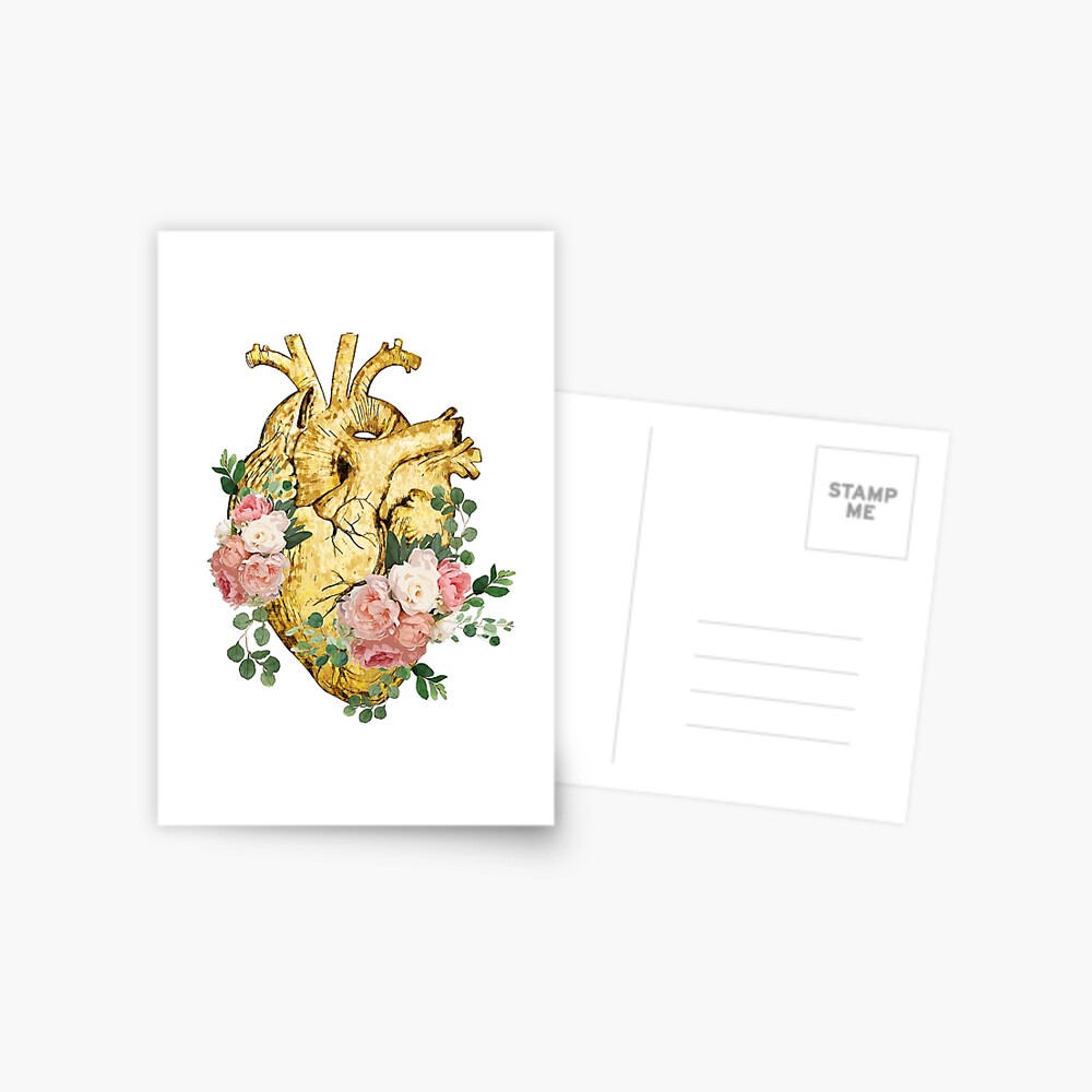 Postal «Corazón humano y rosas, arte de ilustración de anatomía, dibujo ...