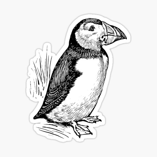 Puffin Browser Tv Merch & Gifts for Sale | Redbubble