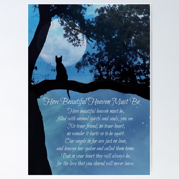 "Cat Sympathy with Spiritual Poem Memorial for Pet Heaven is Beautiful ...