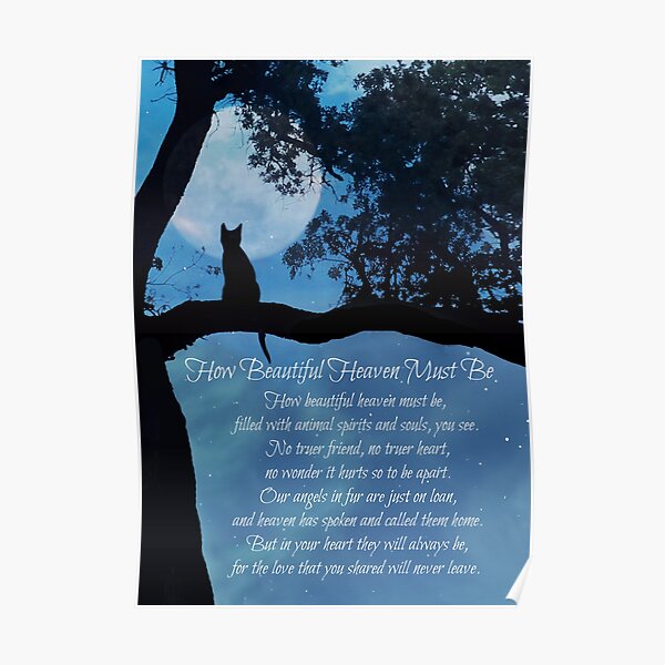 "Cat Sympathy with Spiritual Poem Memorial for Pet Heaven is Beautiful ...