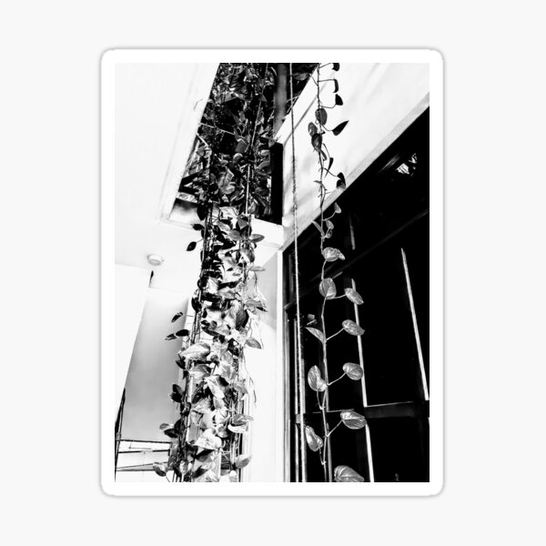"Vintage black and white retro vibes hanging vines " Sticker for Sale ...