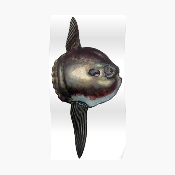"ocean sunfish" Poster for Sale by AnimovieMich | Redbubble