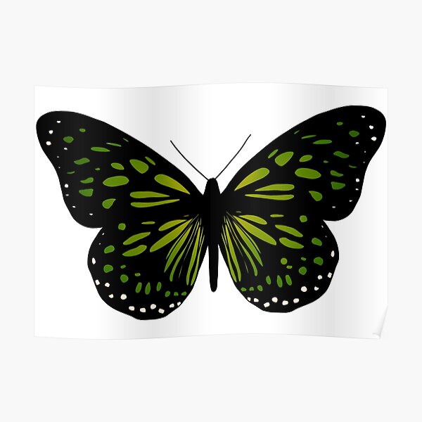 "Green Butterfly" Poster by Stationarystuff | Redbubble