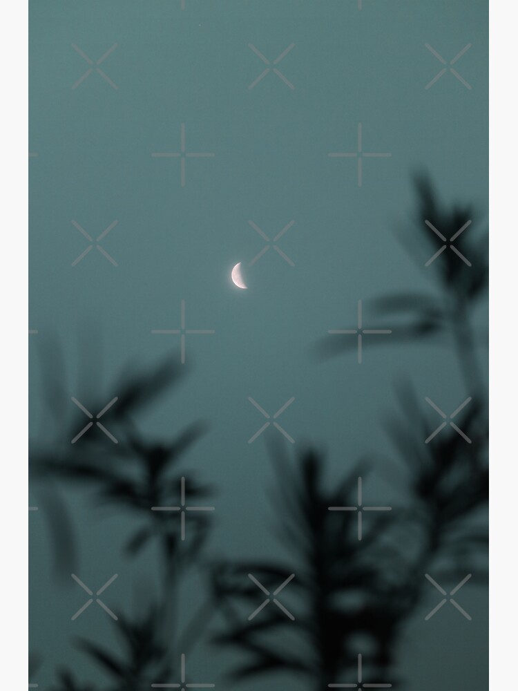 "AESTHETIC HALF MOON " Sticker for Sale by Prakasks812001 | Redbubble