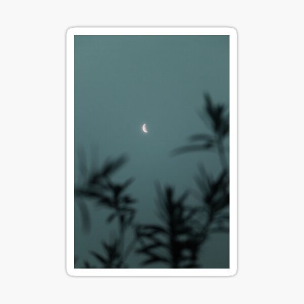"AESTHETIC HALF MOON " Sticker for Sale by Prakasks812001 | Redbubble