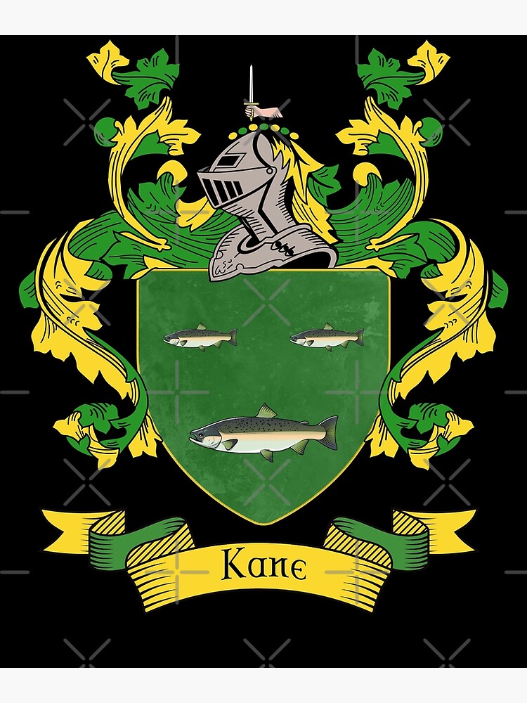 "Kane Coat of Arms | Kane Family Crest" Poster for Sale by chuppys ...