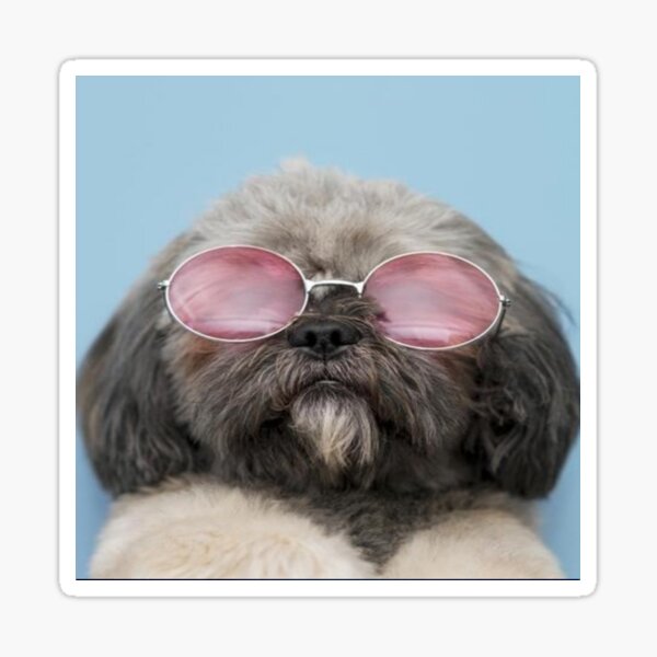 "Cute boy " Sticker for Sale by Parm26 | Redbubble