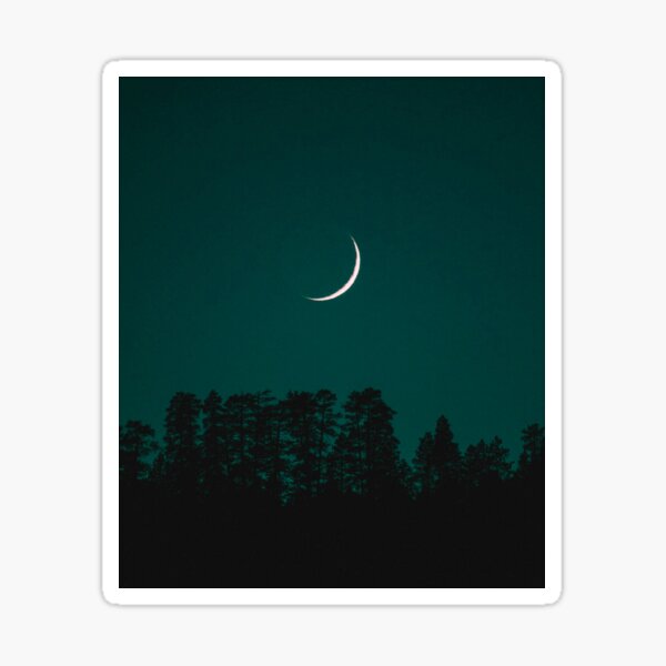 "Moon shining in dark forest" Sticker for Sale by Storevation | Redbubble