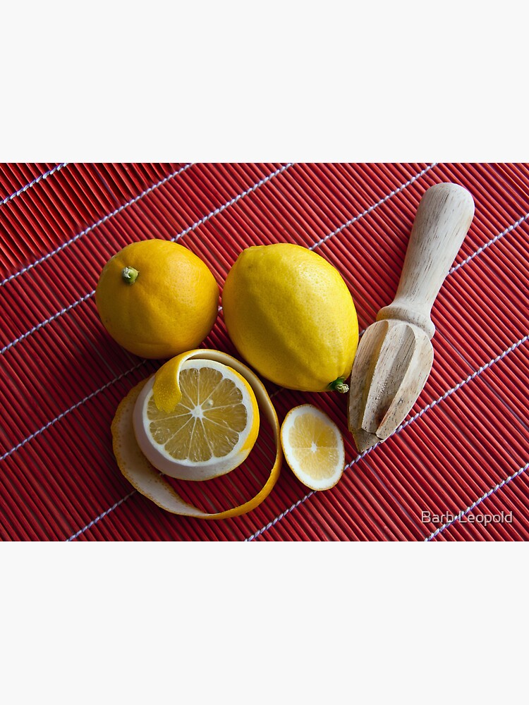 "Zesty" Sticker for Sale by Barbie | Redbubble