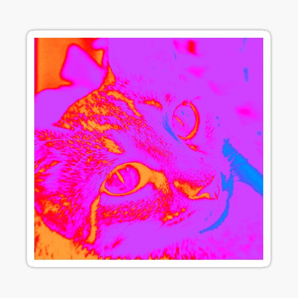 "pink autistic cat 8" Sticker by madelynhatter | Redbubble