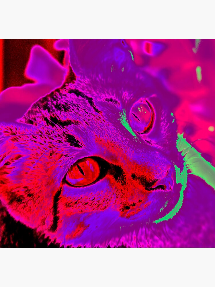 " pink autistic cat 9" Sticker for Sale by madelynhatter | Redbubble