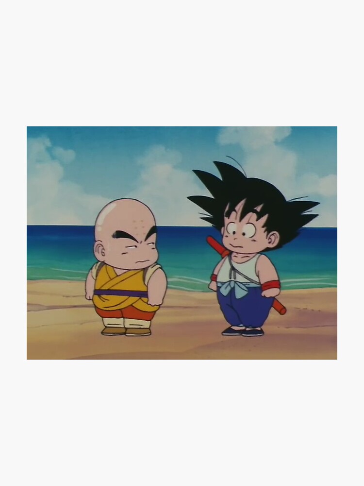 "Young Goku and Krillin " Sticker for Sale by hooligan2001 | Redbubble