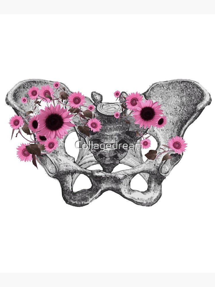"Female bones of the pelvis, Pink flowers Feminism, anatomy, skeleton ...