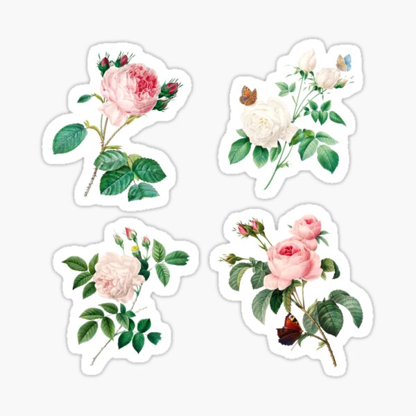 "Vintage Pink and White Roses Sticker Pack" Sticker for Sale by ...