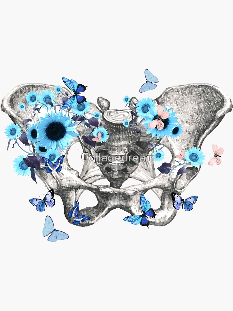 "Female bones of the pelvis, blue flowers Feminism, anatomy, anatomical ...