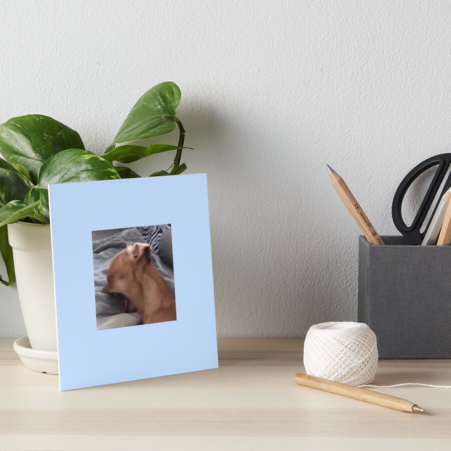 "dog biting sheets meme" Art Board Print by jvsmin | Redbubble