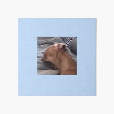 "dog biting sheets meme" Art Board Print by jvsmin | Redbubble