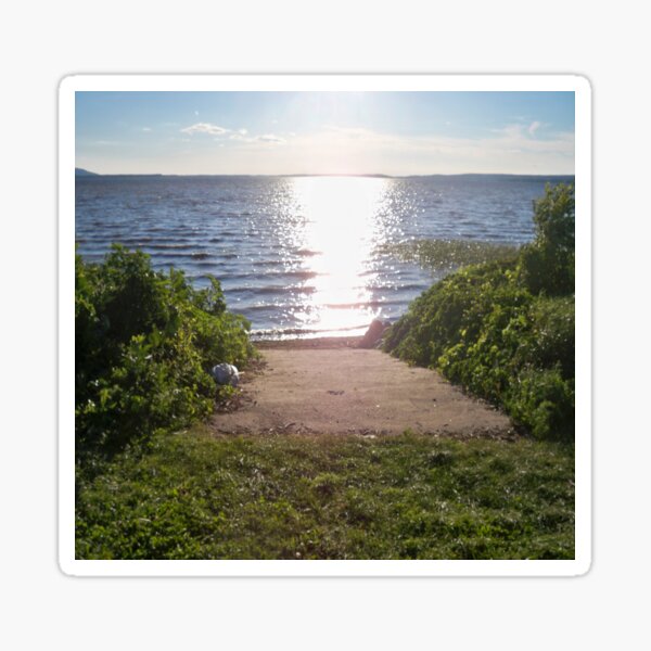 "Sun reflection" Sticker by Jujucreation | Redbubble