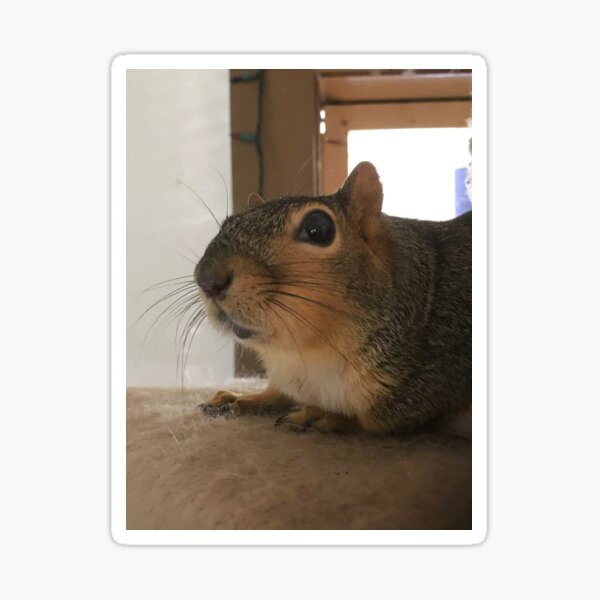 "My Booger!" Sticker by WesLorGifts | Redbubble