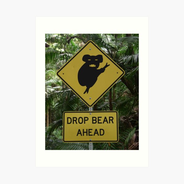 "Drop Bear" Art Print by ayyfries | Redbubble