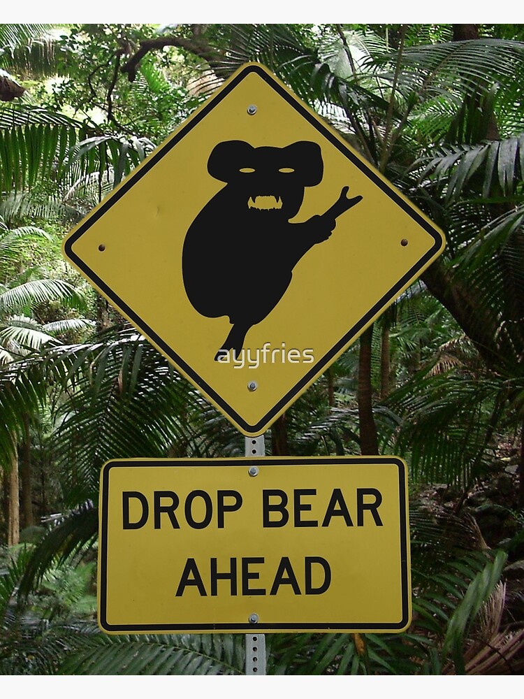 "Drop Bear" Art Print by ayyfries | Redbubble