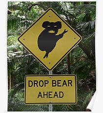 Drop Bear Australia: Posters | Redbubble