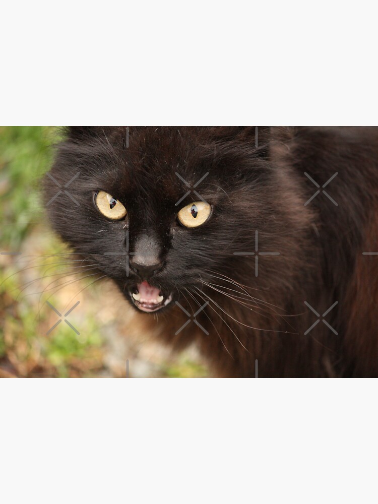 "Prissy Priss" Sticker for Sale by chstudios | Redbubble