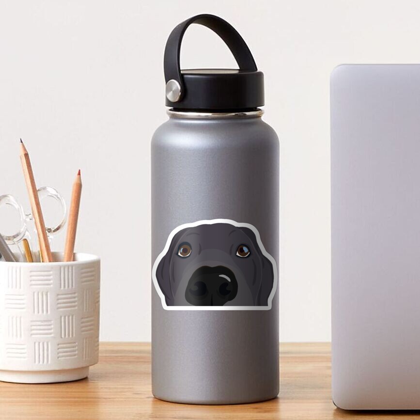 "Curious Silver/Charcoal Labrador Puppy" Sticker for Sale by kherrin ...