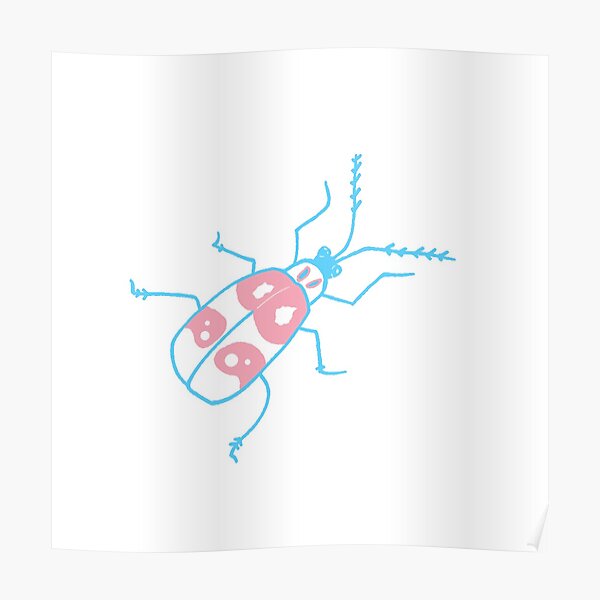 "Trans Pride Beetle" Poster by redheadxbedhead | Redbubble