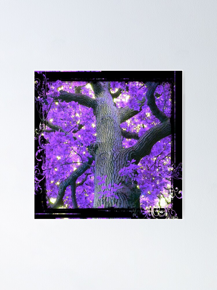 "Purple Oak Tree" Poster by shopismo | Redbubble