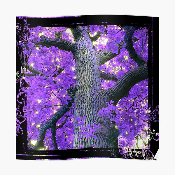 "Purple Oak Tree" Poster by shopismo | Redbubble