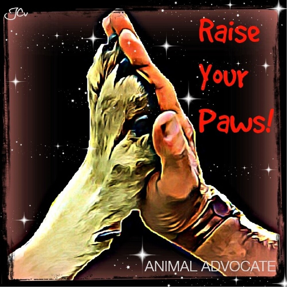 "Raise Your Paws!" by justice4mary | Redbubble
