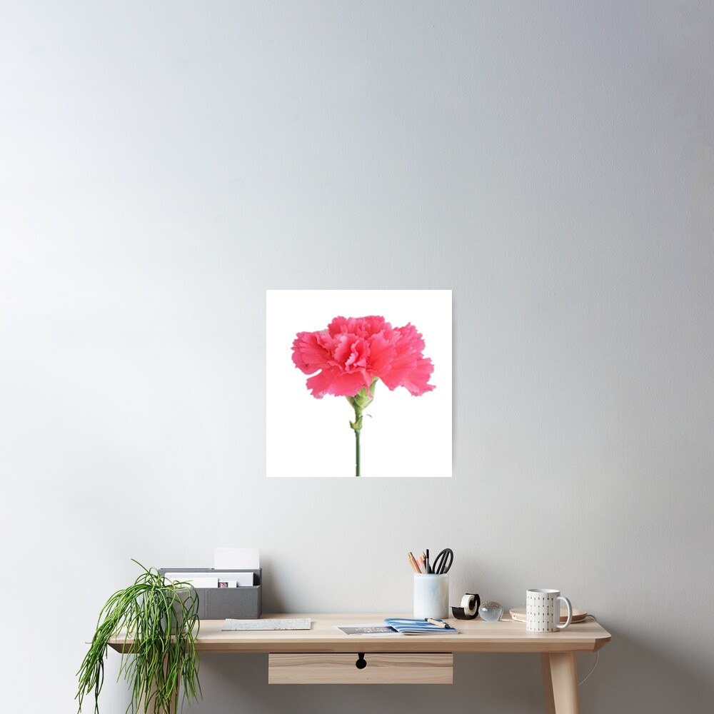 "Pretty carnation classic flower aesthetic " Poster for Sale by ...