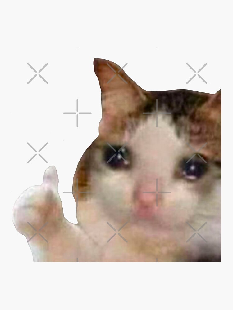 "supportive cat meme " Sticker for Sale by spaghettibeanz | Redbubble