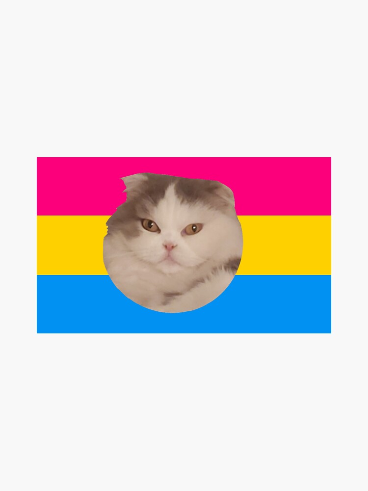 "floogle pansexual flag" Sticker by ayadotnet | Redbubble