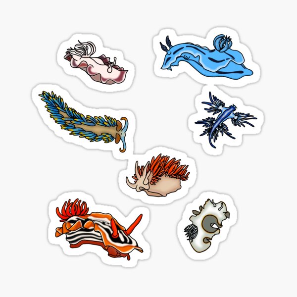 "Sea Slug Sticker Pack" Sticker for Sale by lilygreen616 | Redbubble