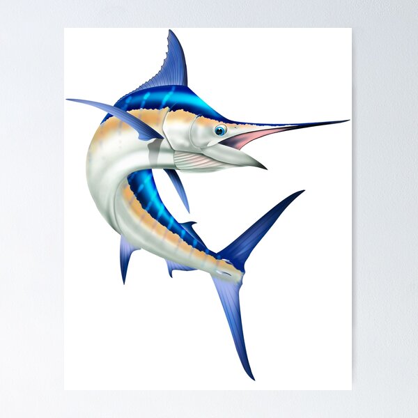 "Beautiful Blue Marlin" Poster for Sale by iColor4U | Redbubble
