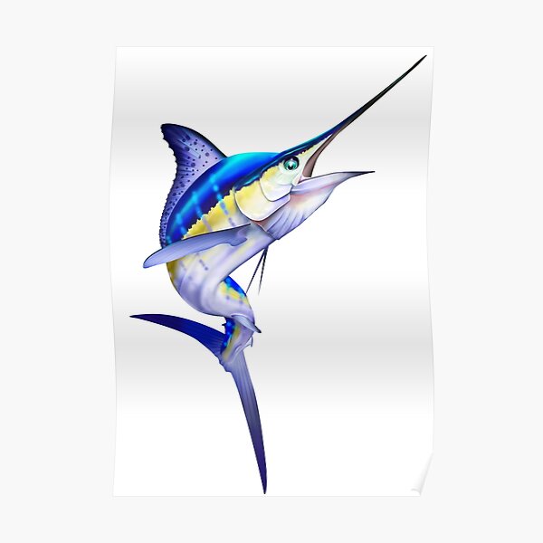 "White Marlin" Poster for Sale by iColor4U | Redbubble