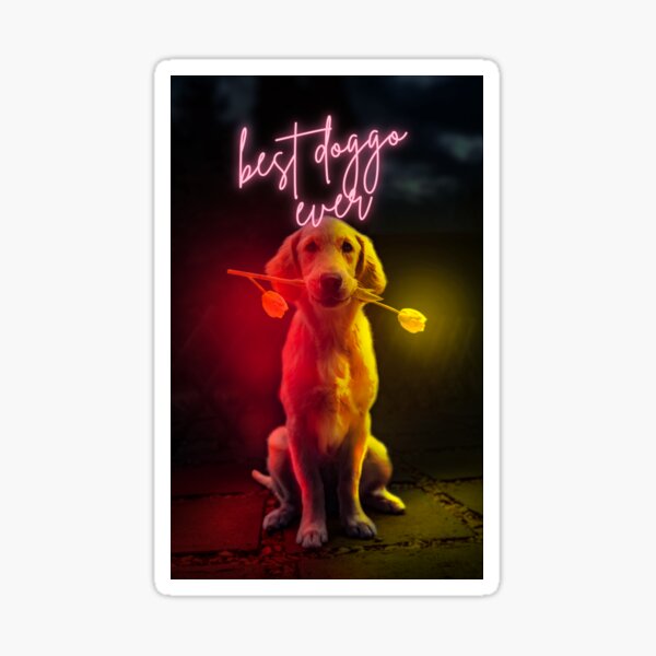 "Best Doggo ever | Golden Retriever Doggo | Dog with lighting flowers ...