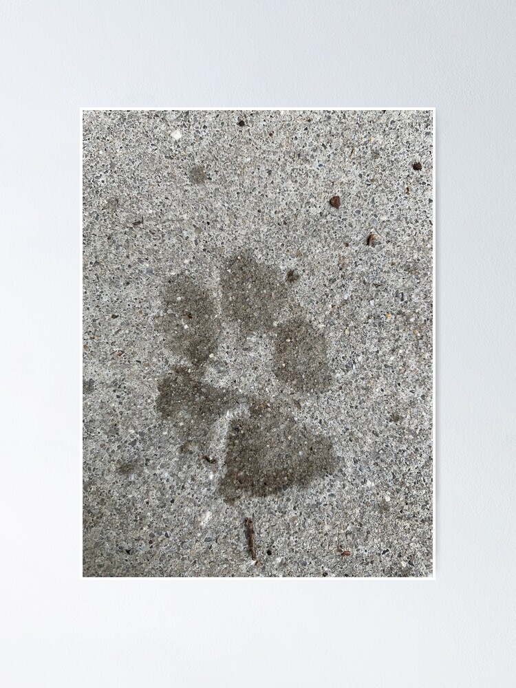 "Pitt Bull Paw Print" Poster by Naturefae | Redbubble